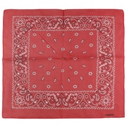 Bandana Doek by Lipodo - € 3,95