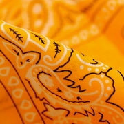 Bandana Doek by Lipodo - € 3,95