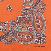 Bandana Doek by Lipodo - € 3,95