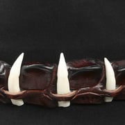 The Croc Haarvilthoed by Akubra - € 259,00